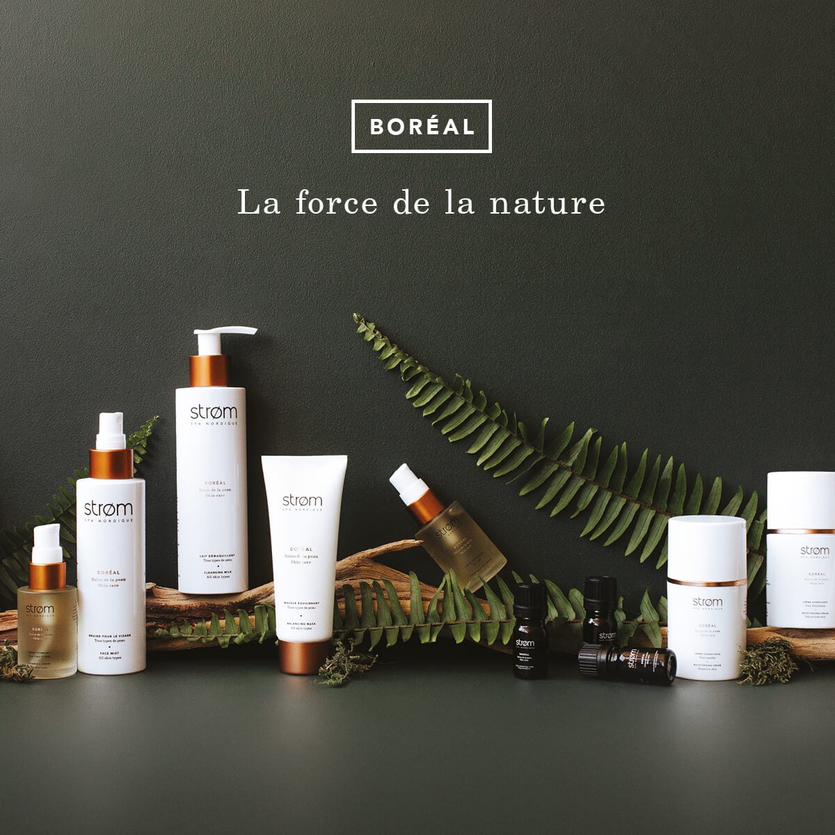 Boréal - sept24 - Agence de Marketing | RH